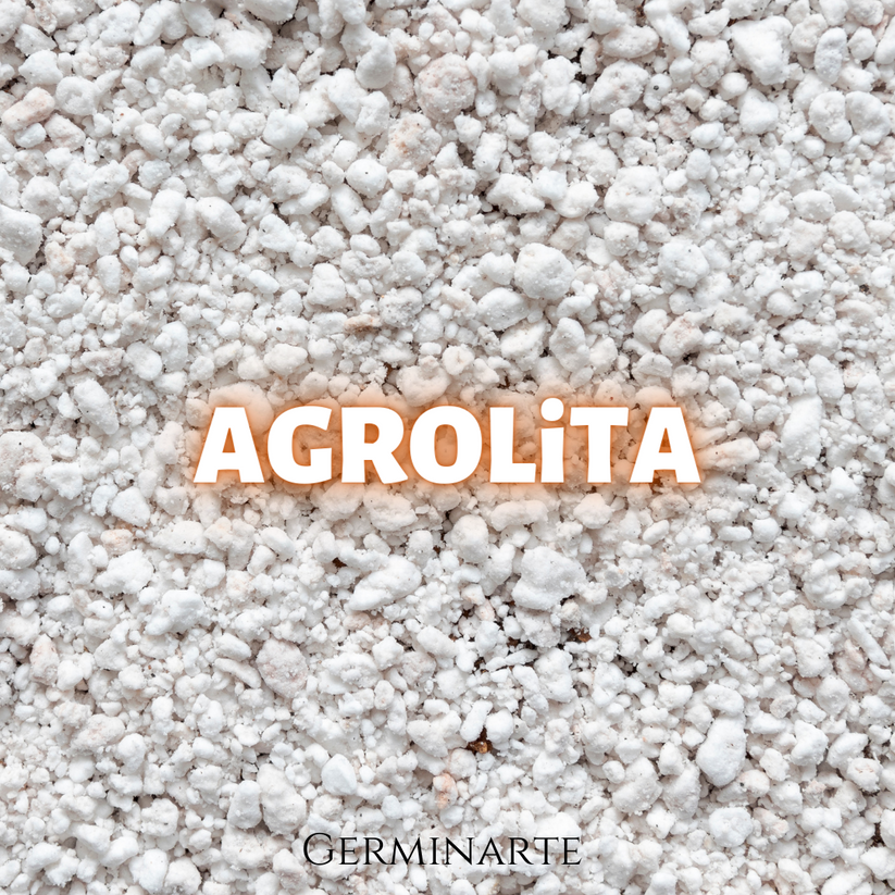 Agrolita – Germinartemex