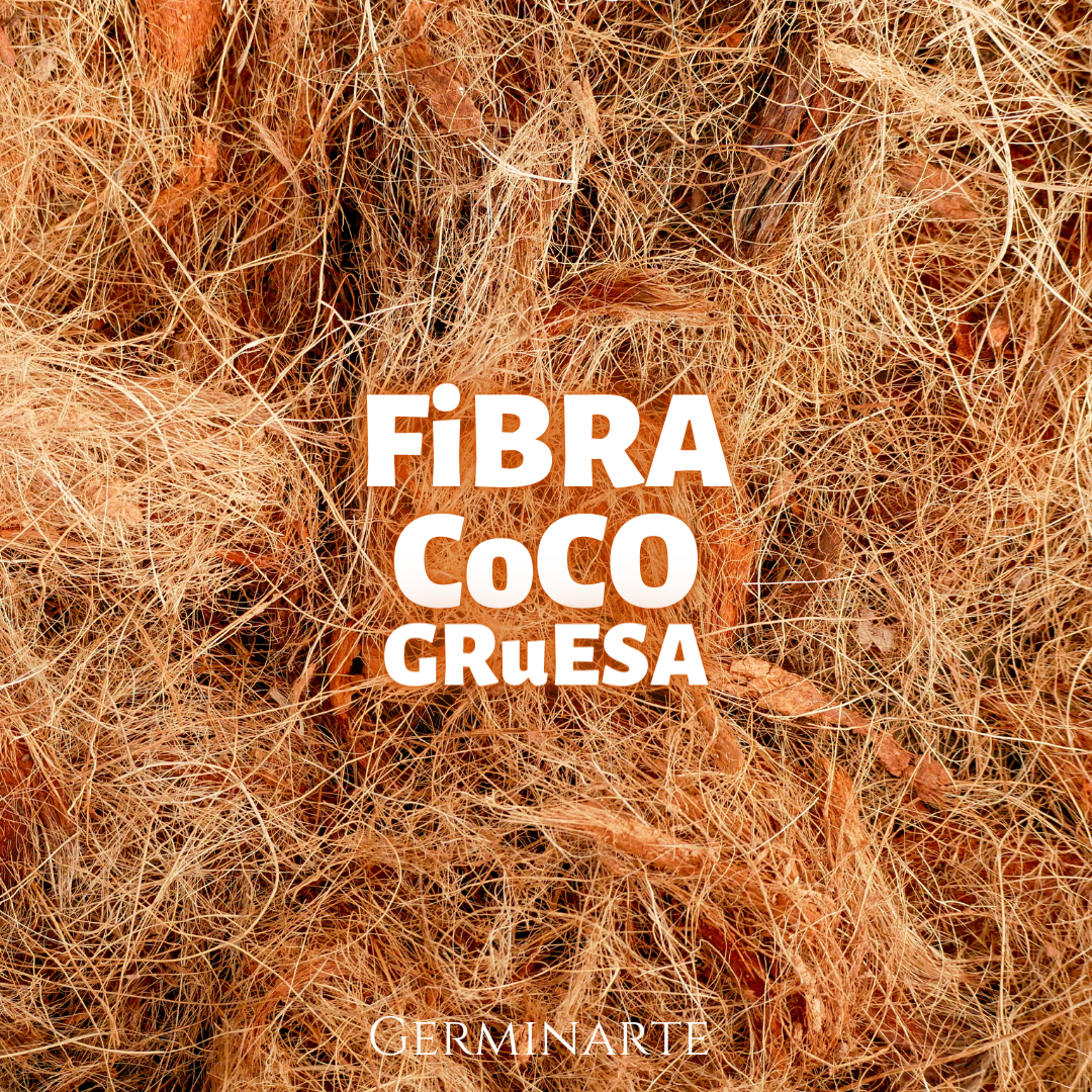 Fibra de Coco Grueso – Germinartemex